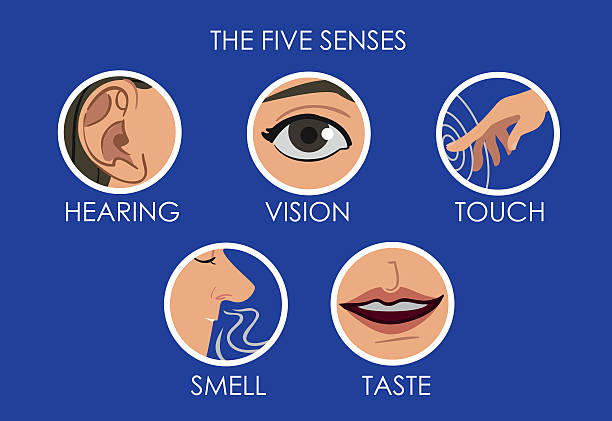 Awaken Your Senses – Good Morning Divas